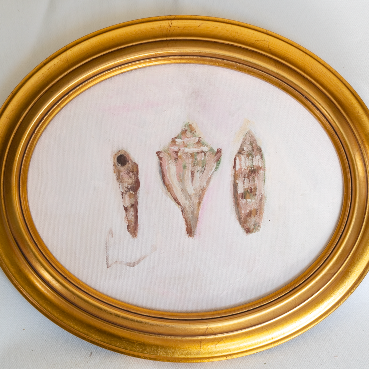 Shell VII - 10x8 (Comes Framed) – Jordan Connelly Studio