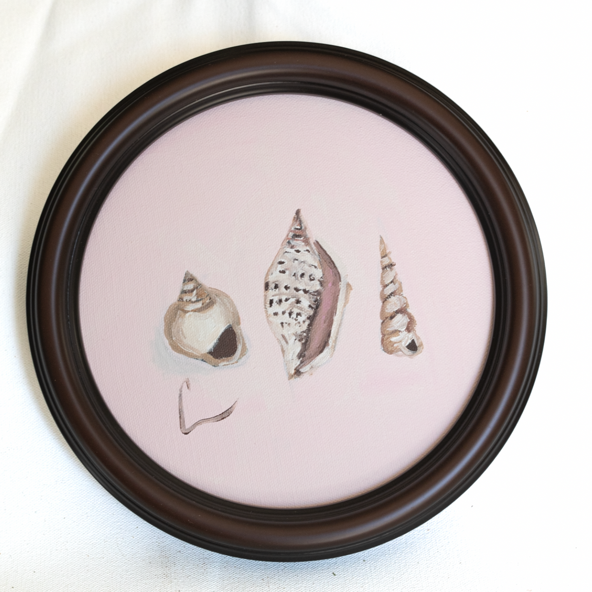 Shell VIII 8x8 (Comes Framed) – Jordan Connelly Studio