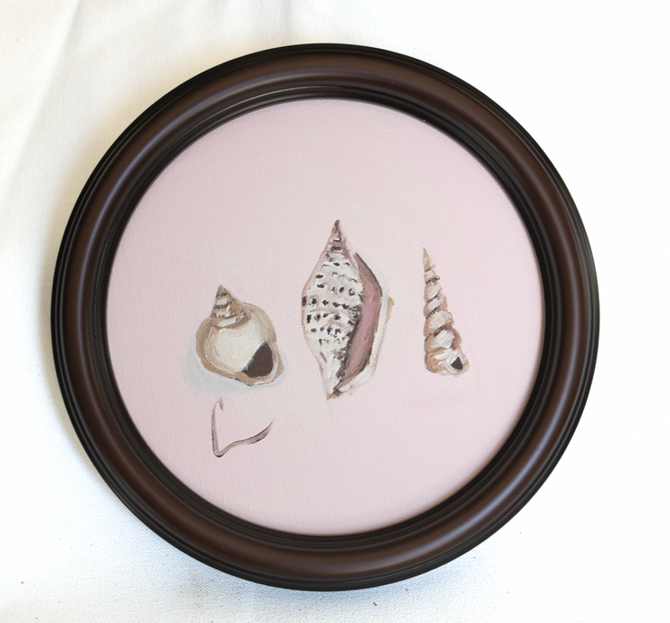 Shell VII 8x8 (Comes Framed) – Jordan Connelly Studio