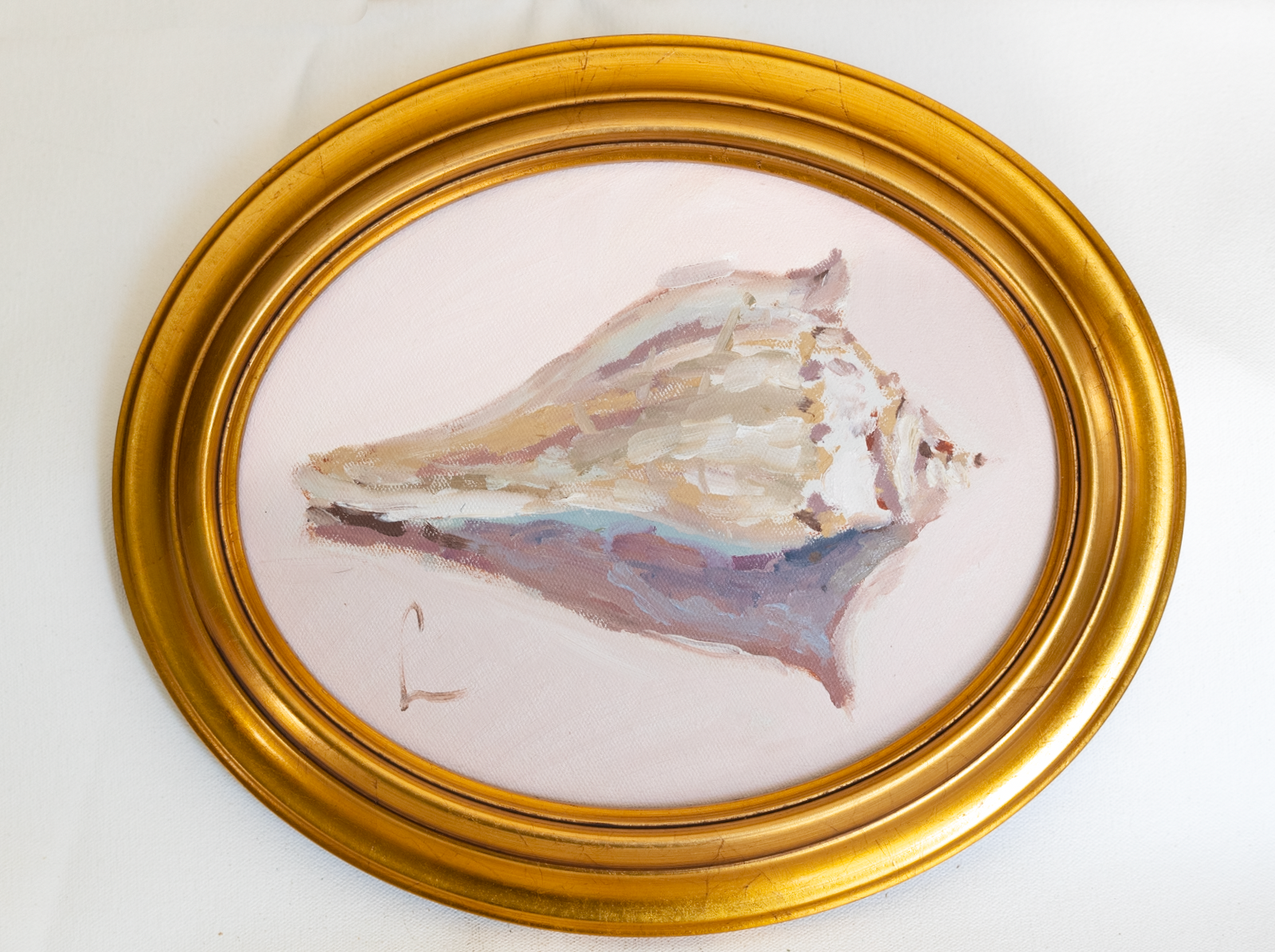 Whelk IV- 10x8 (Comes Framed) – Jordan Connelly Studio